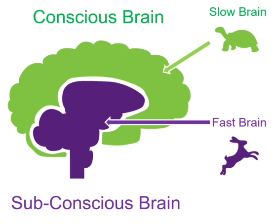 thinking, fast and slow affects our experience of organizational Change ...