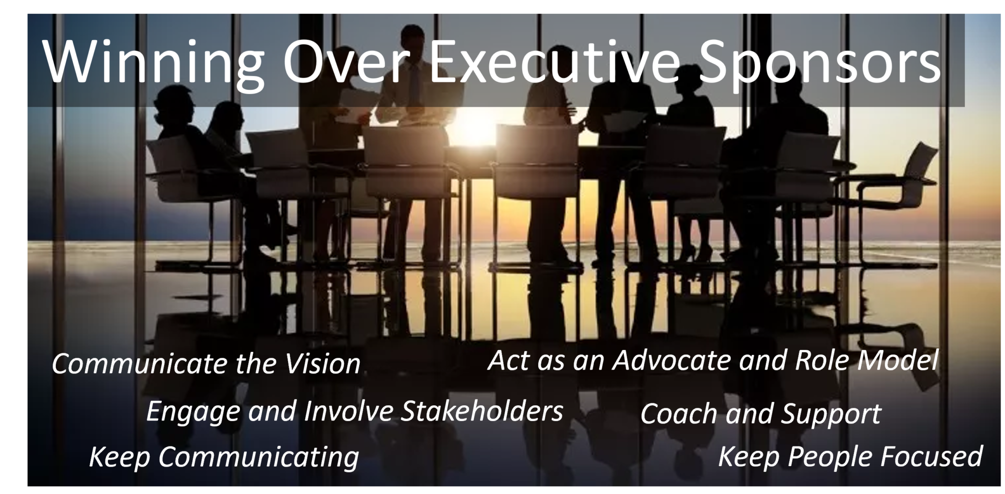 TRUE STORY 6: Winning Over Executive Sponsors – a hack - 5 Forces of Change